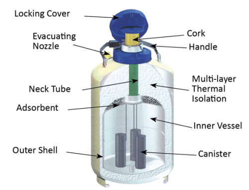 How Does a Liquid Nitrogen Tank Work