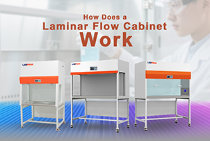 How Does a Laminar Flow Cabinet Work